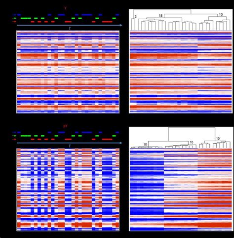 Unattended Detection Of Kinase Activities By Unsupervised Hierarchical