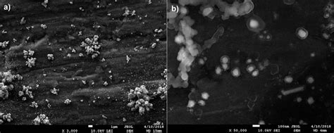 Sem Photographs Of Silver Nanoparticles Formed After Two Minute Download Scientific Diagram