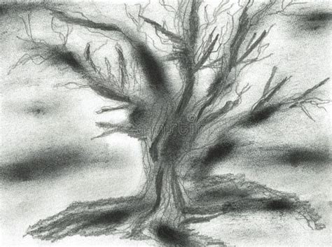 Old Tree In The Wind Hand Drawn Pencil Drawing Stock Photo Image Of Weather Drawn 169743532