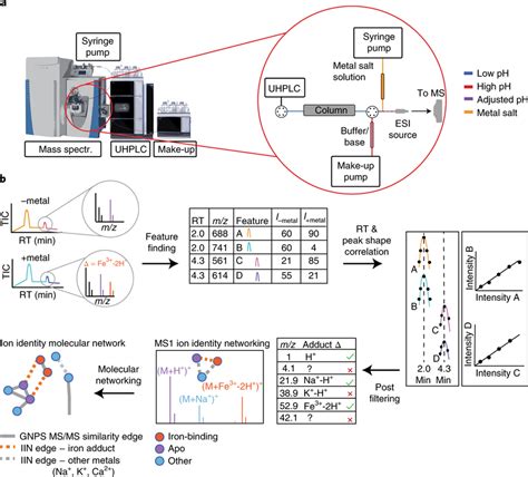 Overview Of The Native Spray Small Molecule Binding Experiment A The Download Scientific