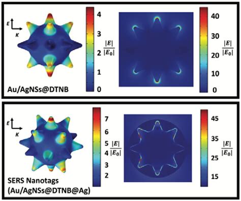 The Simulated Enhanced Electric Field Distribution On The Surface Top