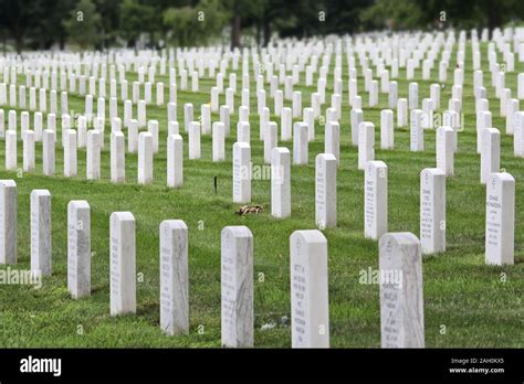 Washington Dc Usa June 13 2013 Arlington National Cemetery In