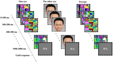 Schematic Representation Of The Experimental Paradigm For The Main