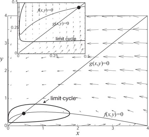 Limit Cycle Oscillation Shown Is The Phase Plane Analysis For The