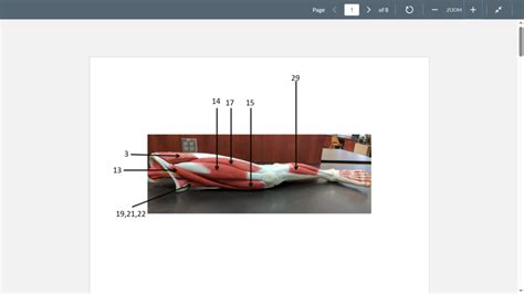 p3 diagram quizlet