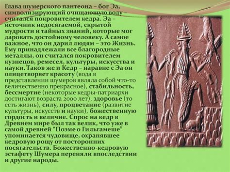Кедр – гордость сибирской тайги - презентация онлайн