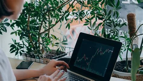 term structure of interest rates definitions and theories