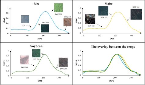Crop Ndvi Fitting And The Composed Samples In Different Phenological Download Scientific