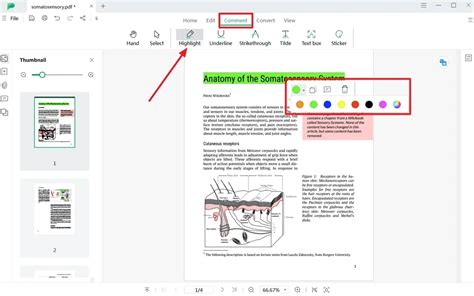 how to use these 5 effective pdf annotators [expert tips]