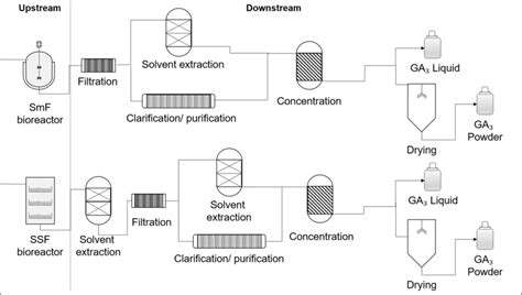Biotechnological Process Of Gibberellic Acid Ga3 Production Via Download Scientific Diagram