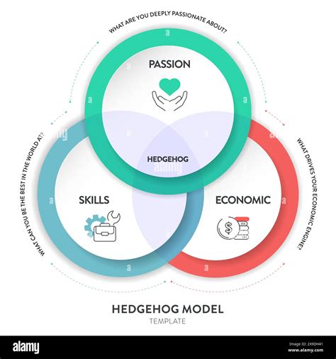 Hedgehog Model Strategy Framework Infographic Diagram Banner Template