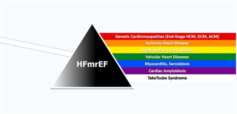 Lv Strain Superiority Over Lvef In Hfmref Is The Job Done After David