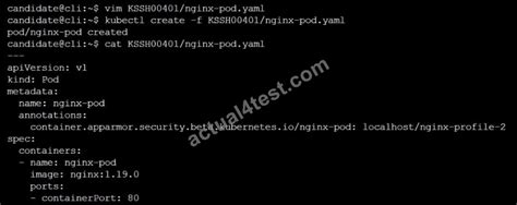 Linux Foundation Certified Kubernetes Security Specialist Cks Cks Free Exam Questions