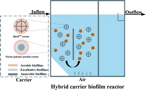 Schematic Representation Of The Reactor Download Scientific Diagram