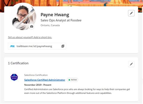 walk you through salesforce by peienhwang fiverr