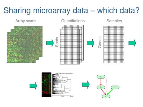 Ppt Transcriptomics Powerpoint Presentation Free Download Id4269813