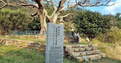 통일신라~고려시대 해상불교문화 거점 흑산도 무심사 복원