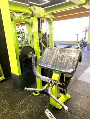 Biecep Curl Machine For Gym At Rs In Jalandhar ID
