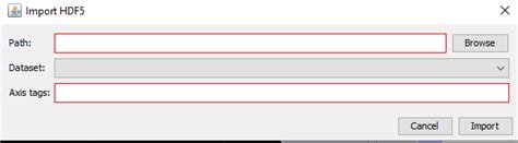 ilastik plugin for fiji cannot import hdf5 usage and issues image sc