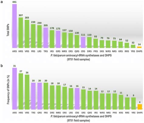 Graphical Representation Of Snps In 20 Pf Aarss And Pfdhps Domain A