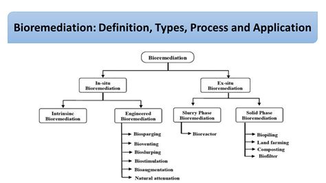 Bioremediation Definition Types Process And Application