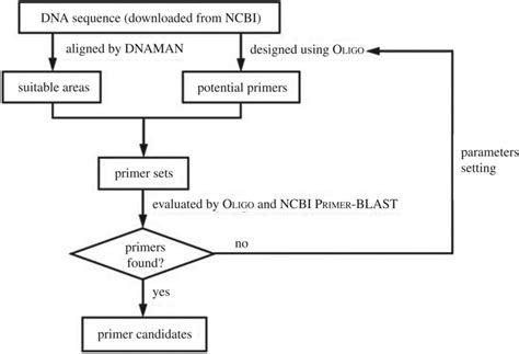 Flowchart For The Design Of Species Specific Primer Sets Download