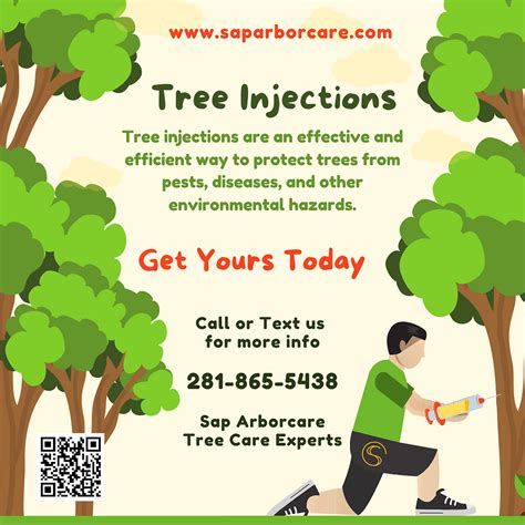 Tree Maintenance Essential Tips Techniques For The Homeowner