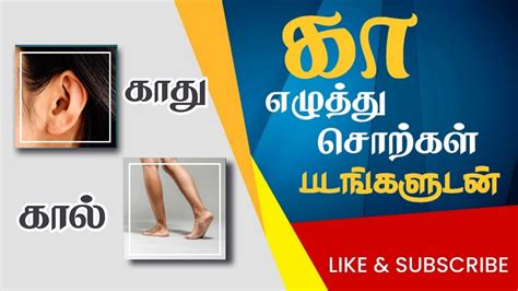 கா எழுத்தில் தொடங்கும் சொற்கள் படங்களுடன் கா வரிசை சொற்கள் Kaa Varisai Sorkal In Tamil Youtube