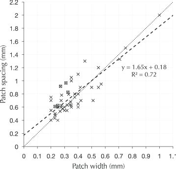 Patch Spacing Versus Patch Width Across Many Species And Cortical Download Scientific Diagram