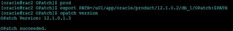 Step By Step Apply C Grid And DB April PSU To Oracle CR Node RAC Oracledbwr