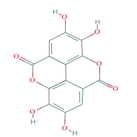 PDF Ellagic Acid Chemoprotective Role In Oral Cancer