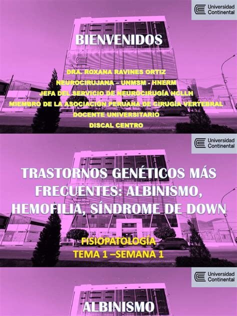 Clase 1 Unidad 1 Pdf