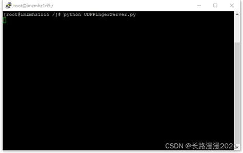 Python进阶篇（三） Tcp套接字与udp套接字编程python网络编程之udp套接字编程 Csdn博客