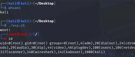 一个用于 Burp Suite 的插件，专为检测和分析 Sql 注入漏洞而设计。 Cn Sec 中文网