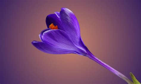 Mahak Gupta On Linkedin Salesforce Winter ‘25 Release What To Expect And How To Prepare