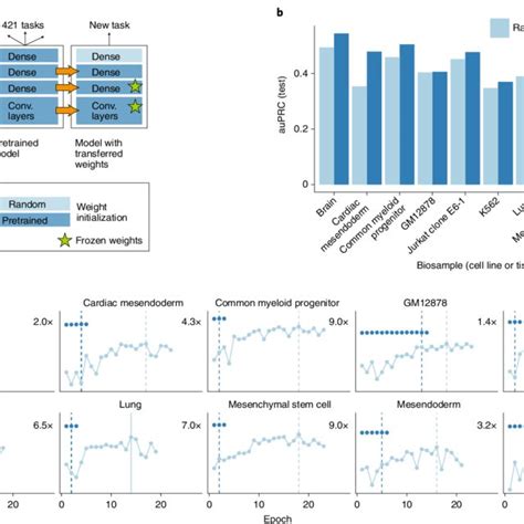 variant effect prediction and feature importance scores a schema of