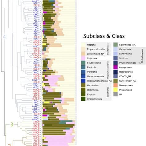 Dendrogram Illustrating The Results From The Hierarchical Cluster