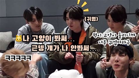 [윤기 고양이] 윤기형이 고양이 찍어서 올린게 너무 귀여웠던 호석이ㅋㅋㅋㅋ Youtube