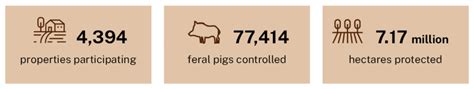 Feral Pig Program 2023-2024 - Local Land Services