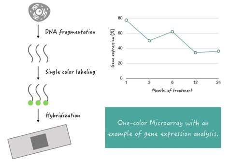 One Color Vs Two Color Microarray How To Choose The Right One Genetic Education