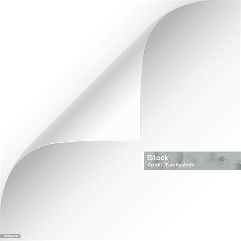 투명한 배경에 그림자가 있는 말린 페이지 코너 용지 한 장 벡터 일러스트레이션 가장자리에 대한 스톡 벡터 아트 및 기타 이미지