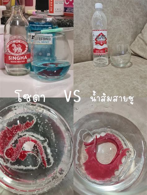 มาดูกันว่าใช้อะไรแช่รีเทนเนอร์ ได้บ้าง แกลเลอรีที่โพสต์โดย Pp Papit Lemon8