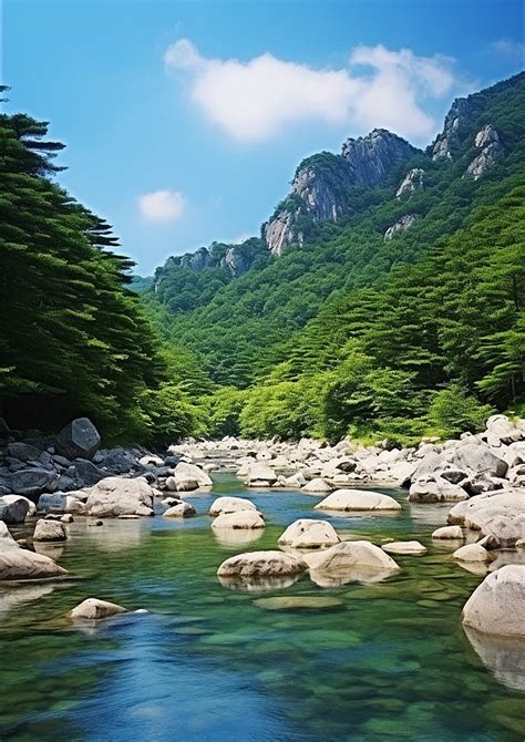 바위가 있는 숲속의 산을 따라 흐르는 강 배경 배경 화면 및 일러스트 무료 다운로드 Pngtree