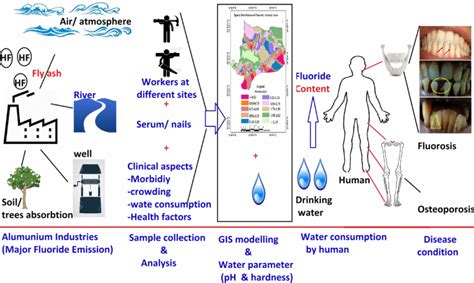 Overall Pictorial Representation Of The Gis Modeling For Download