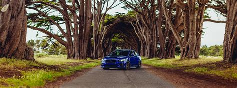 Best Tree Tunnel Images On Pholder Pics Earth Porn And Interestingasfuck