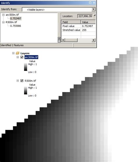 Why Different Results Of Mean Calculations With Focal In R And Esri ArcGis Geographic
