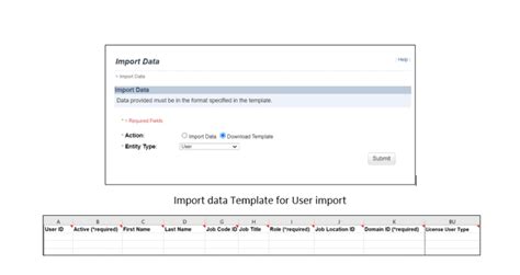 Learning License User Types In Sap Successfactors Learning