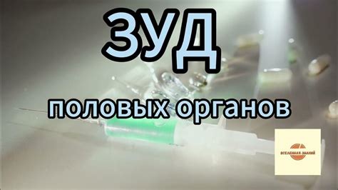 046 45 зуд в районе половых органов знания Sex Shot Shots Youtubeshorts Youtube