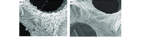 Strut Node Region Of Lattice Structures Developed Through Pbf Additive Download Scientific