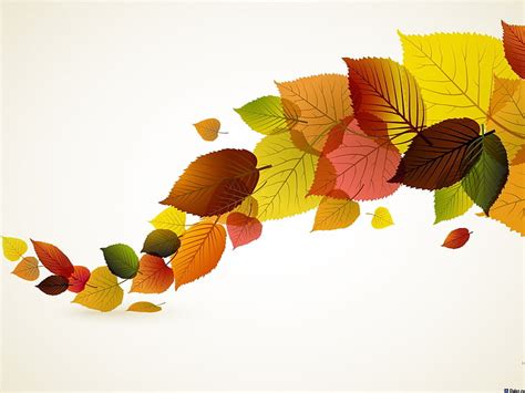 노란색과 녹색 잎 클립 아트 잎 삽화 흰색 배경 Hd 배경 화면 Wallpaperbetter